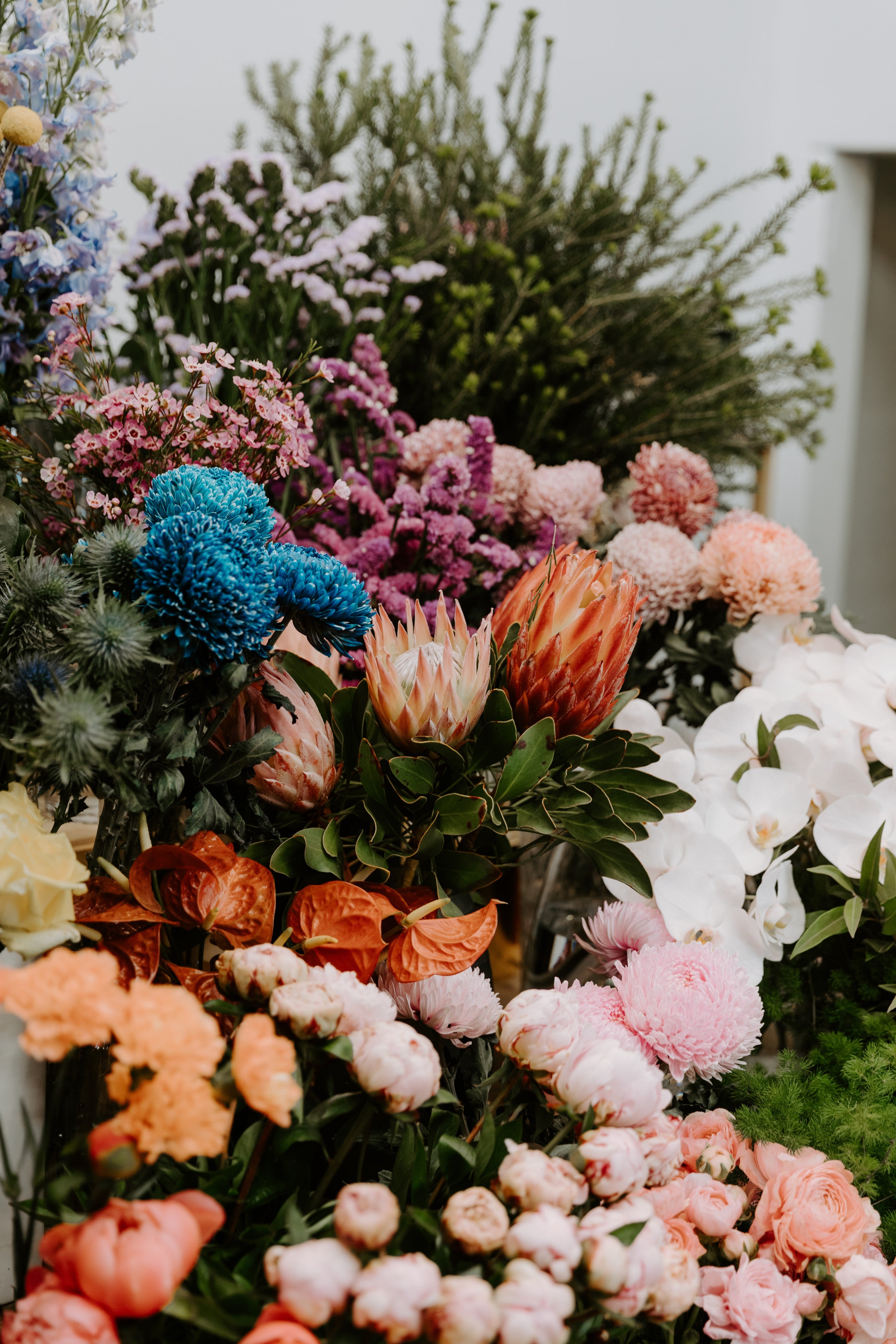 Floral Arrangements - Canberra's Best Florist – Urban Jungle CBR